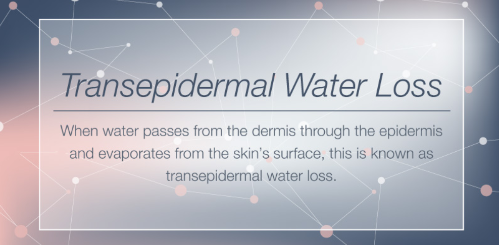 transepidermal water loss – MyChaneckieB
